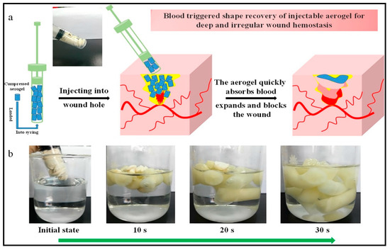 A Review on Revolutionary Natural Biopolymer-Based Aerogels for ...