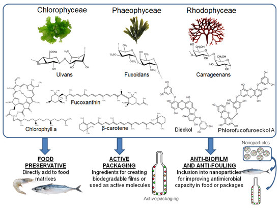 Antibacterial Use of Macroalgae Compounds against Foodborne Pathogens