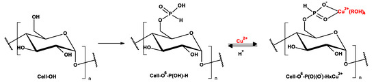 Vapor Phosphorylation of Cellulose by Phosphorus Trichlo-Ride ...