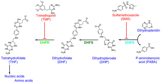Bacterial Targets of Antibiotics in Methicillin-Resistant ...