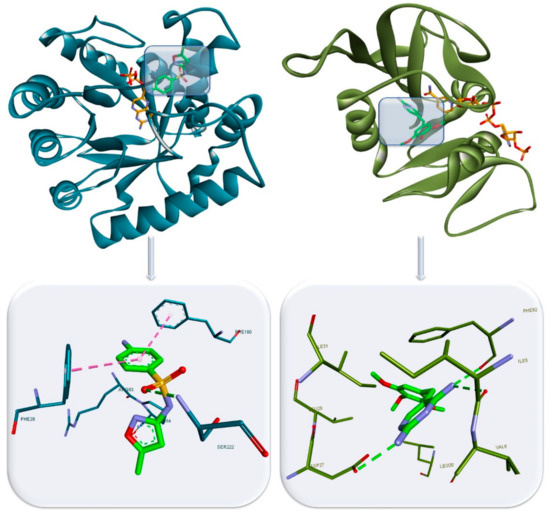 Antibiotics: Conventional Therapy and Natural Compounds with ...