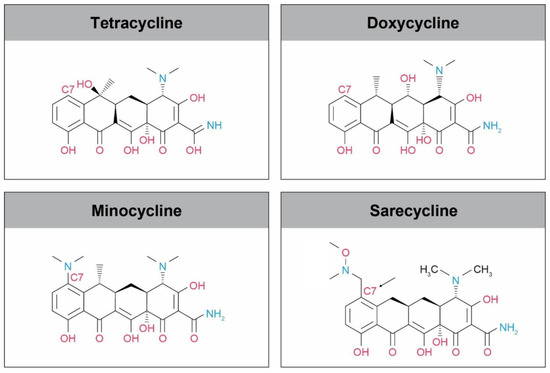 Antibacterial Mechanisms and Efficacy of Sarecycline in Animal Models ...