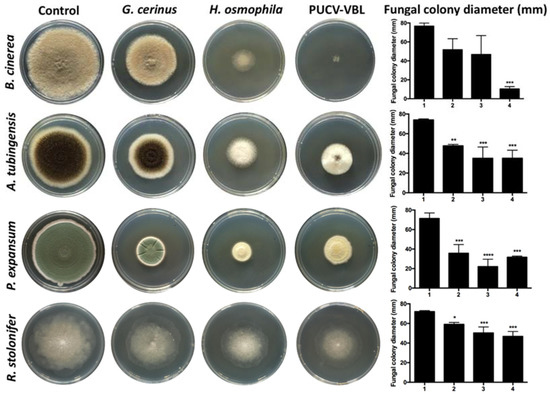 Volatile Organic Compounds (VOCs) Produced by Gluconobacter cerinus and ...