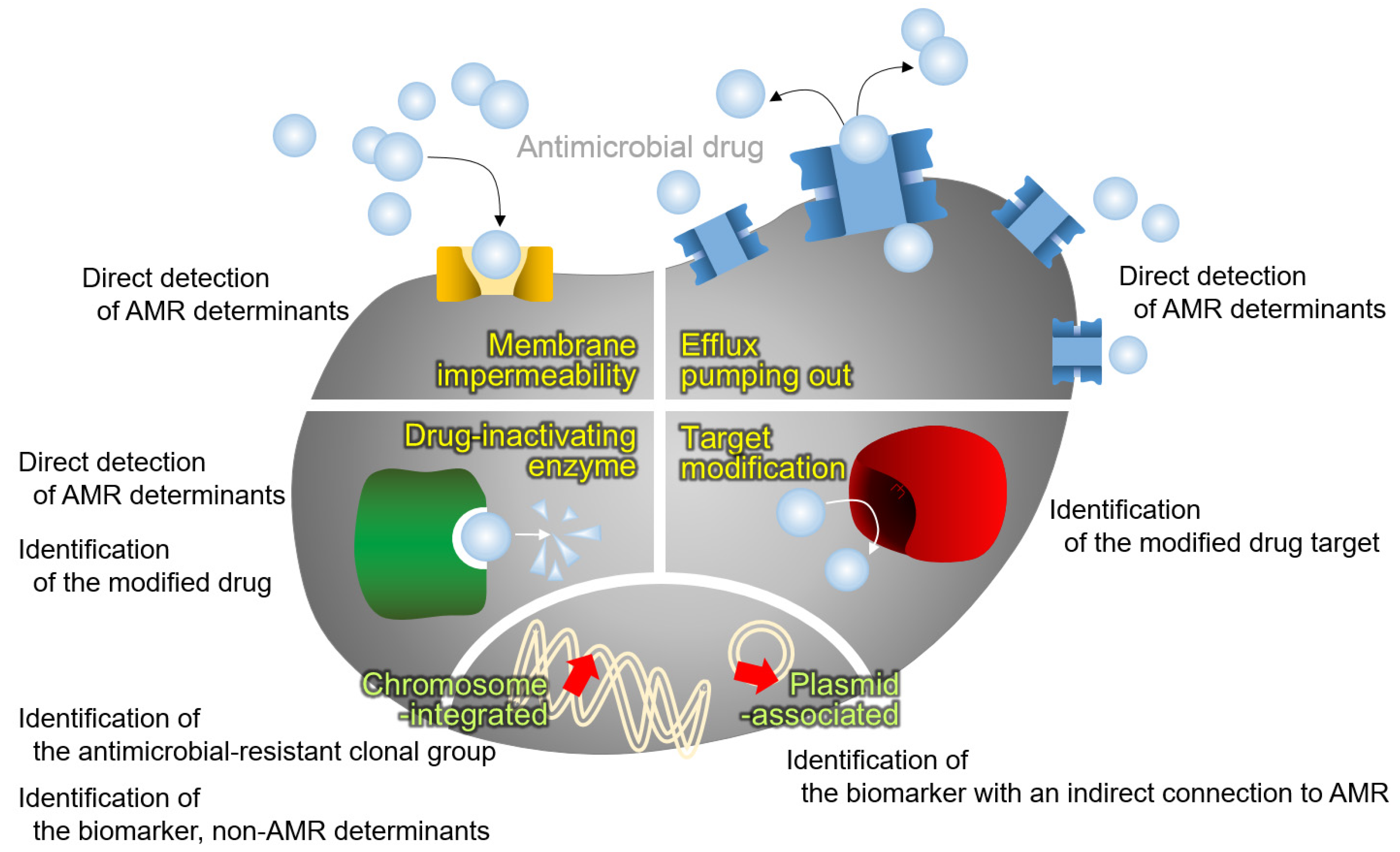 Antibiotics Free Full Text Maldi Tof Mass Spectrometry Technology