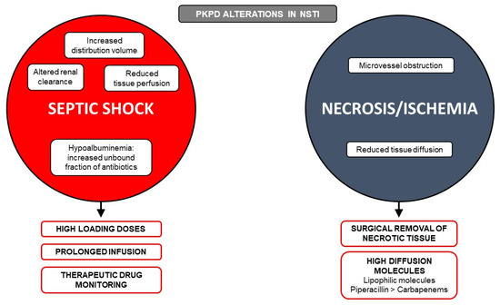 Antibiotics in Necrotizing Soft Tissue Infections