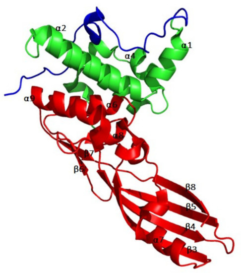 The Biology of Colicin M and Its Orthologs