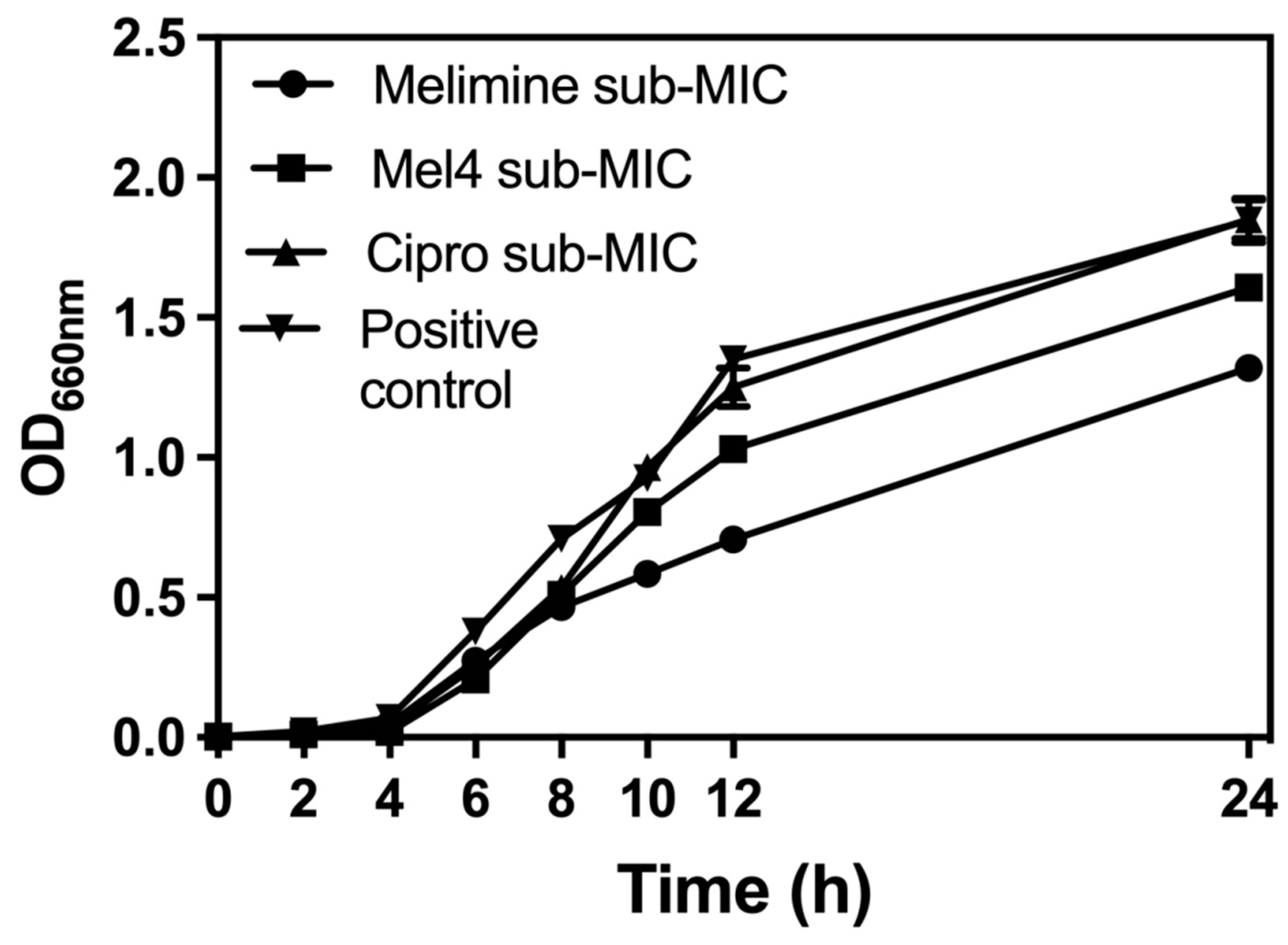 Enhancement of Antibiofilm Activity of Ciprofloxacin against ...