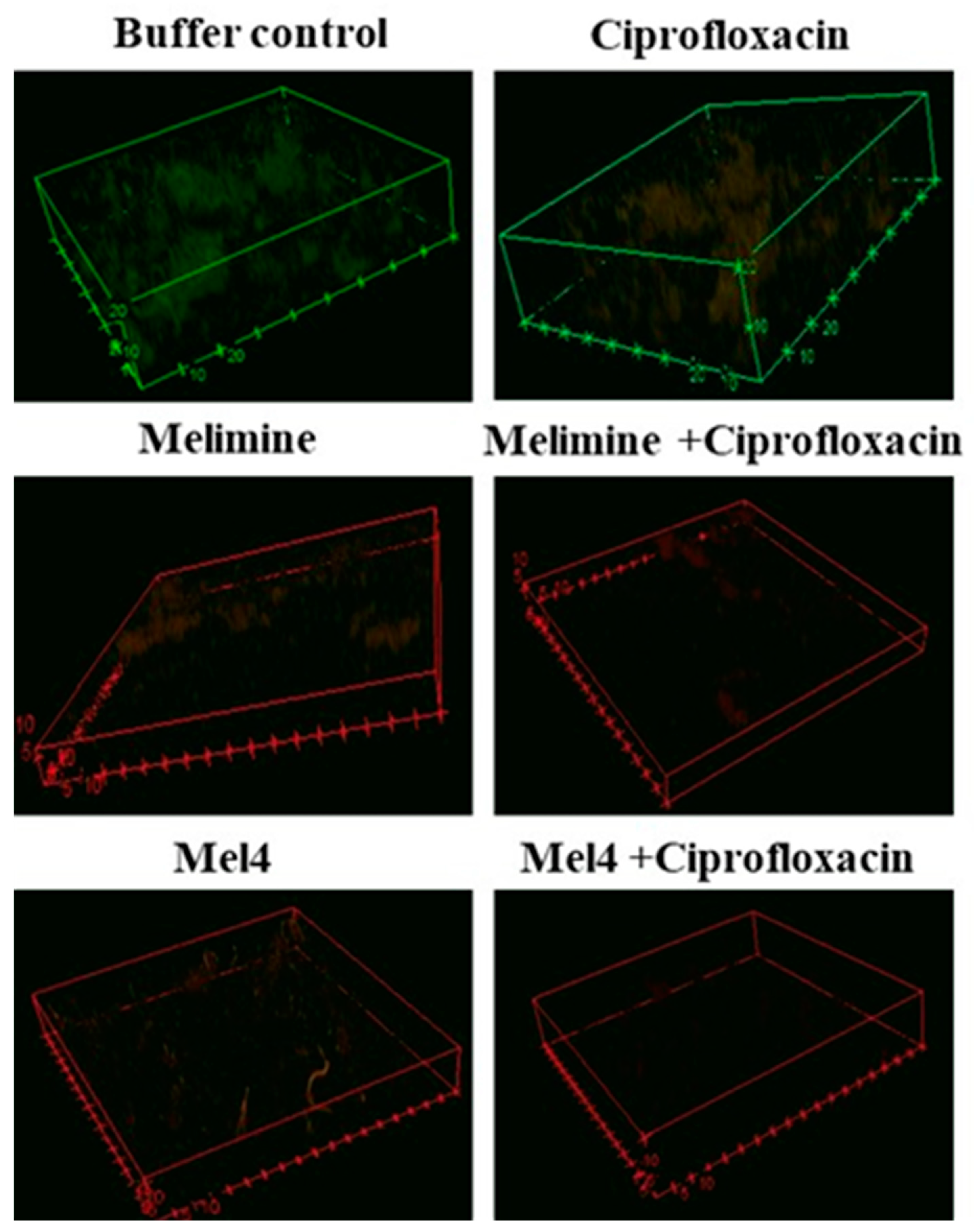 Enhancement of Antibiofilm Activity of Ciprofloxacin against ...