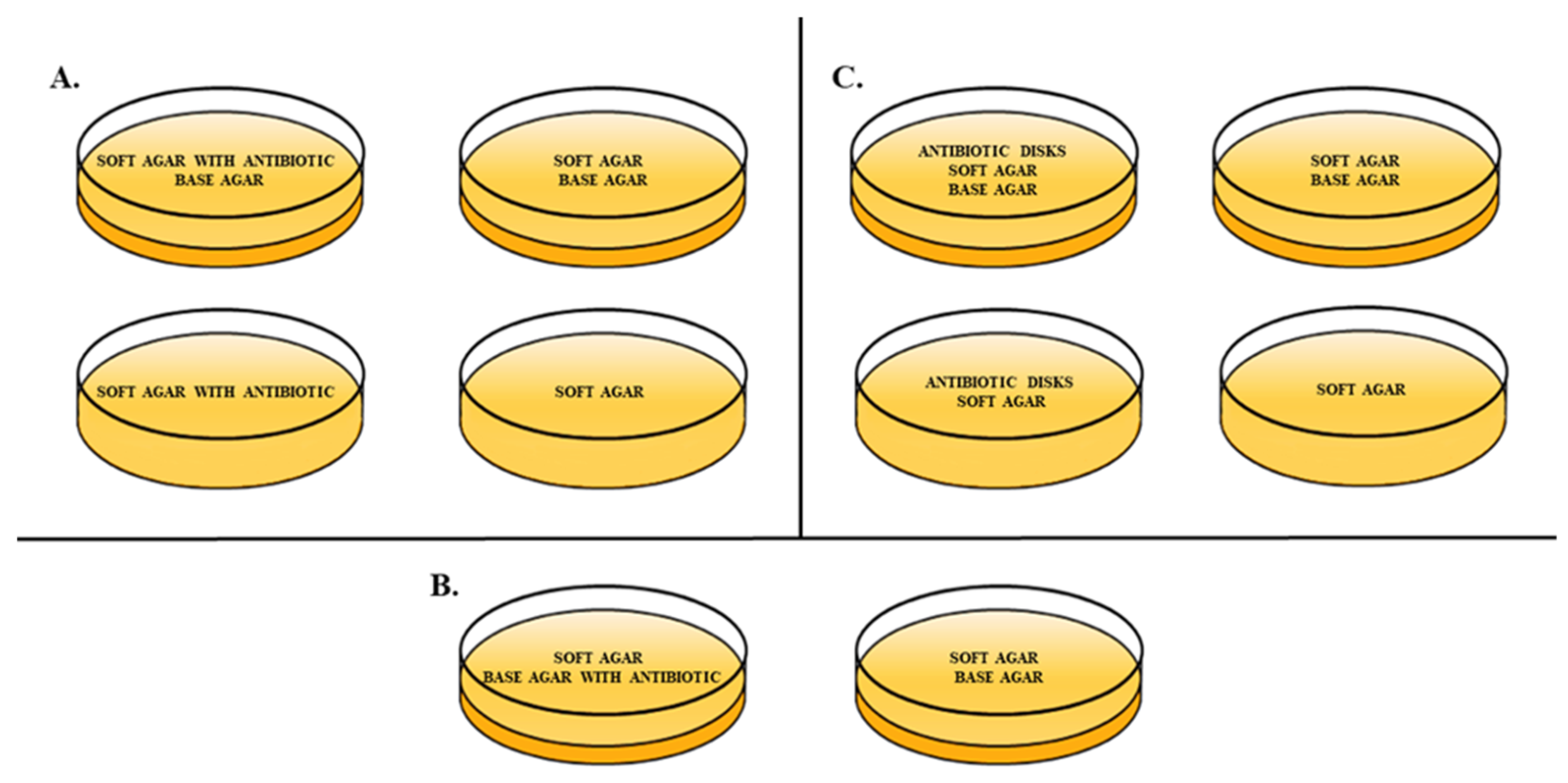 Lb Agar Recipe | Dandk Organizer Lb Agar Recipe | Dandk Organizer