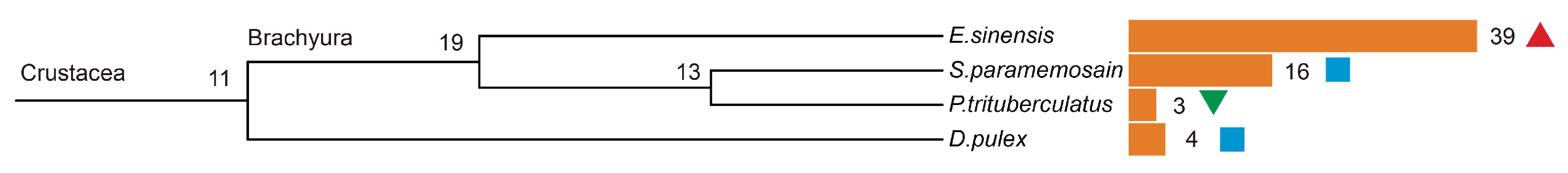 Genome-Wide Identification, Characterization, and Expression Analysis ...