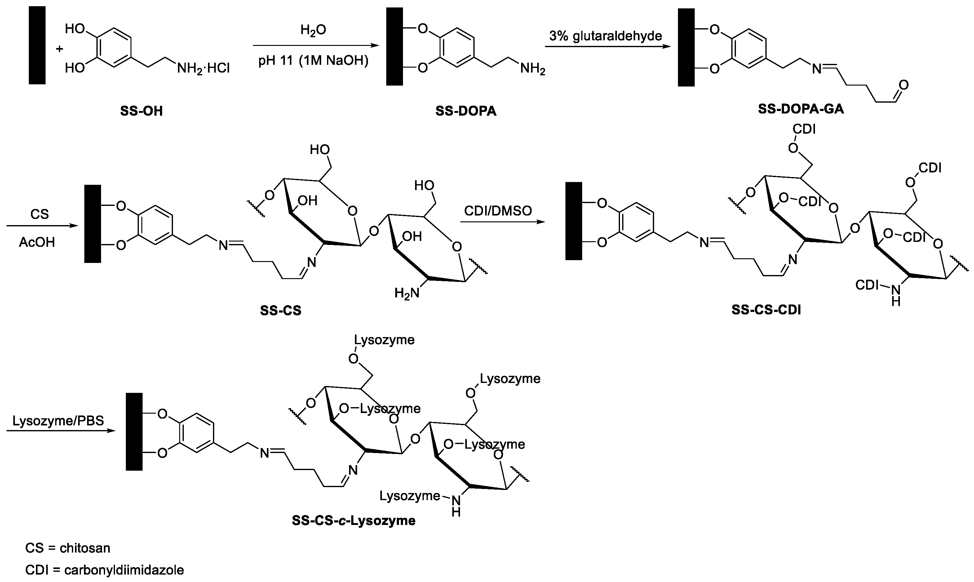 Applications of Lysozyme, an Innate Immune Defense Factor, as an ...