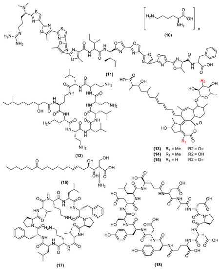 Antimicrobial Bacillus: Metabolites and Their Mode of Action