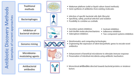 Antibiotic Discovery and Resistance: The Chase and the Race