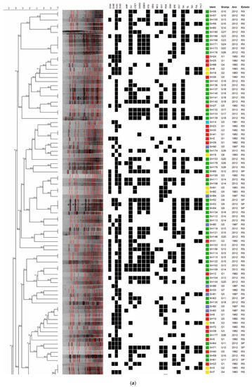 Antimicrobial Resistance Profile of Staphylococcus hyicus Strains ...