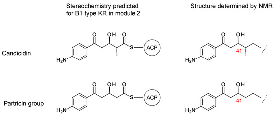 New Glycosylated Polyene Macrolides: Refining the Ore from Genome Mining