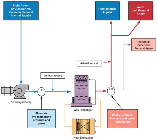 Antibiotics and ECMO in the Adult Population—Persistent Challenges and ...