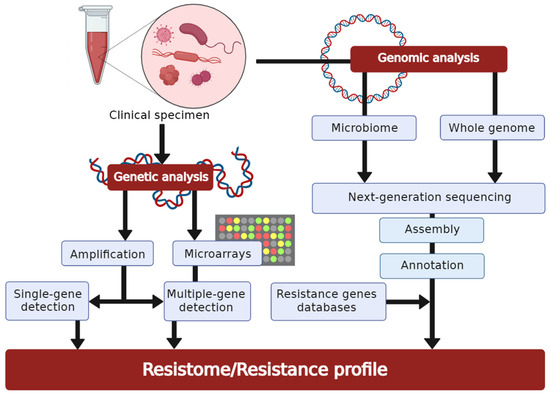 Antimicrobial Susceptibility Testing: A Comprehensive Review of ...