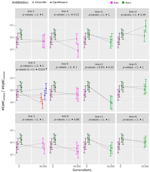 Evolution of Bacterial Persistence to Antibiotics during a 50,000 ...