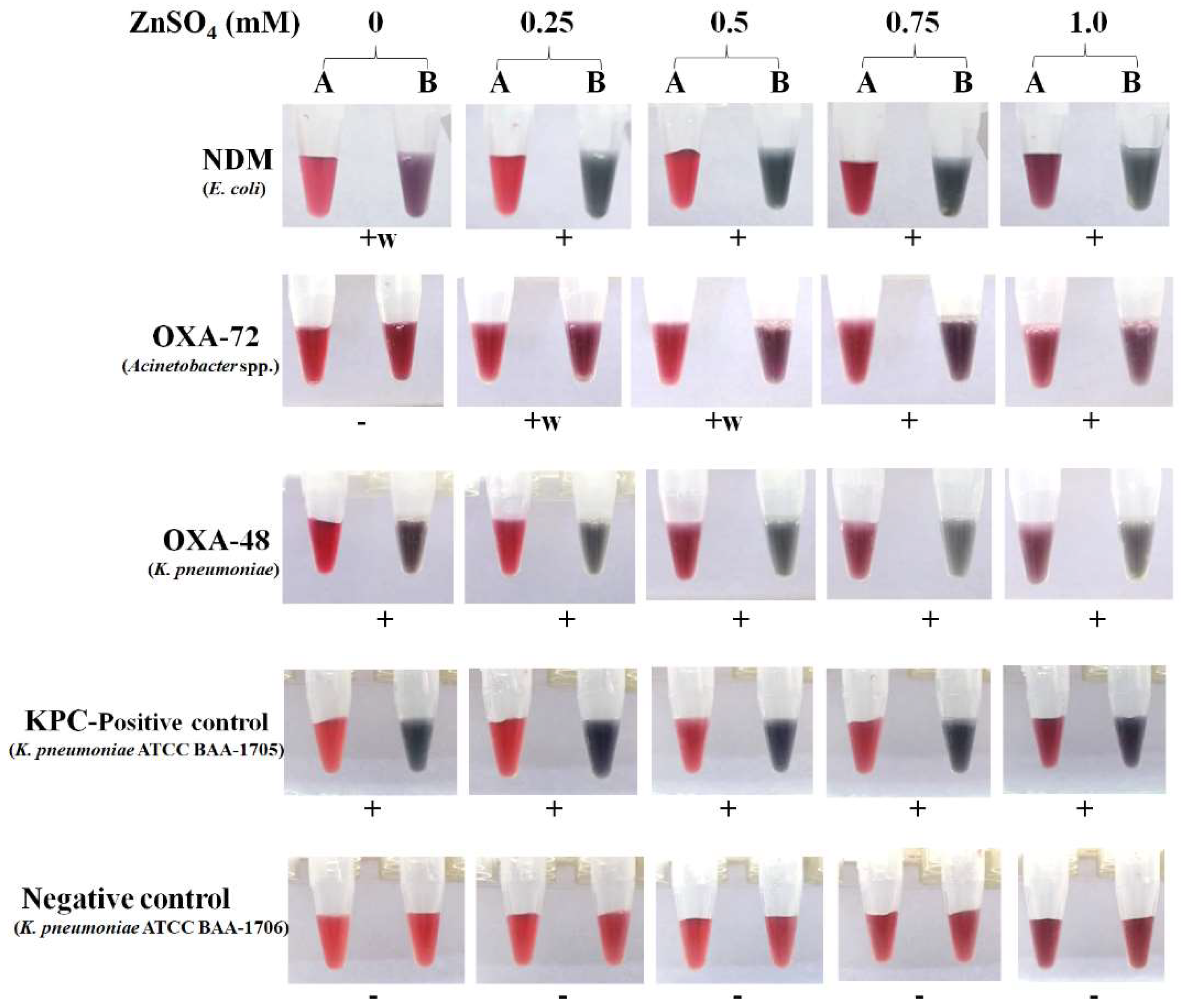 Antibiotics | Free Full-Text | Multi Evaluation of a Modified GoldNano ...