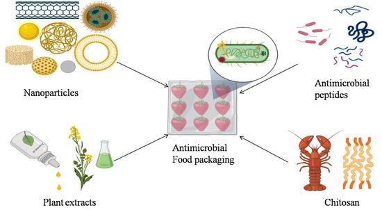 Antibiotics | Free Full-Text | Antimicrobial Nanomaterials for Food ...