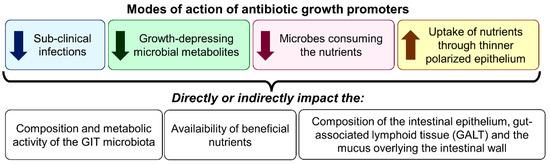 Insights in the Development and Uses of Alternatives to Antibiotic ...