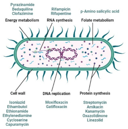 Adapting Clofazimine for Treatment of Cutaneous Tuberculosis by Using ...