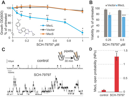Antibiotics | Free Full-Text | Activation of a Bacterial ...