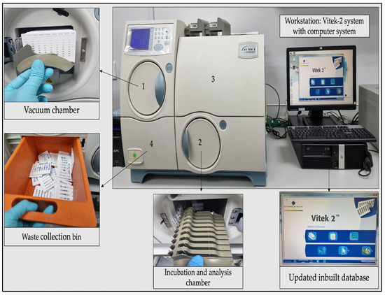 Resistance towards Critically Important Antimicrobials among ...