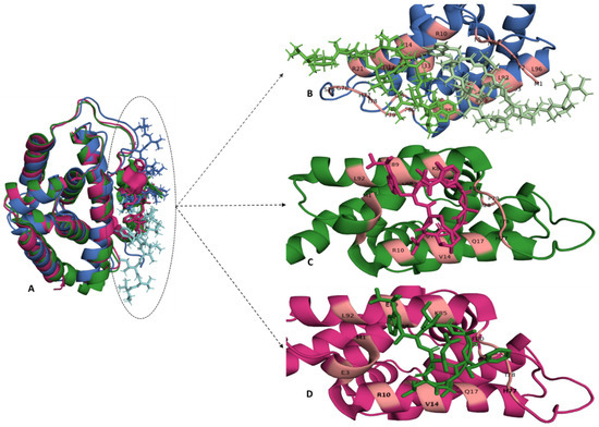 ESKAPE Pathogens: Looking at Clp ATPases as Potential Drug Targets
