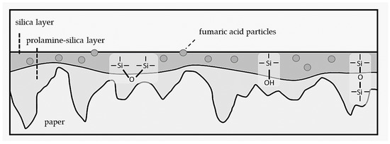 Antimicrobial Functionalization of Prolamine–Silica Hybrid Coatings ...