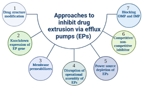 What Approaches to Thwart Bacterial Efflux Pumps-Mediated Resistance?