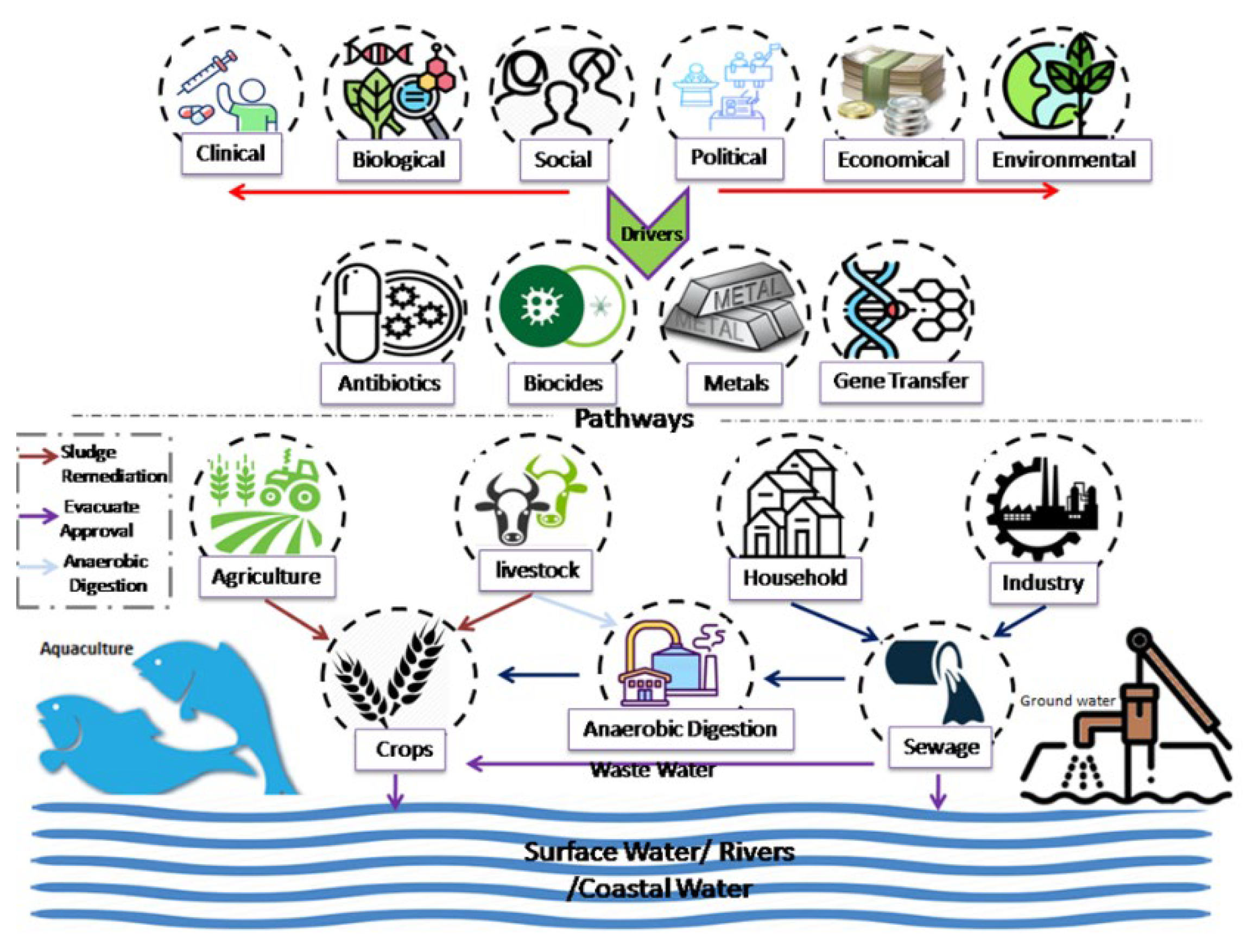 Antimicrobial Resistance and Its Drivers—A Review