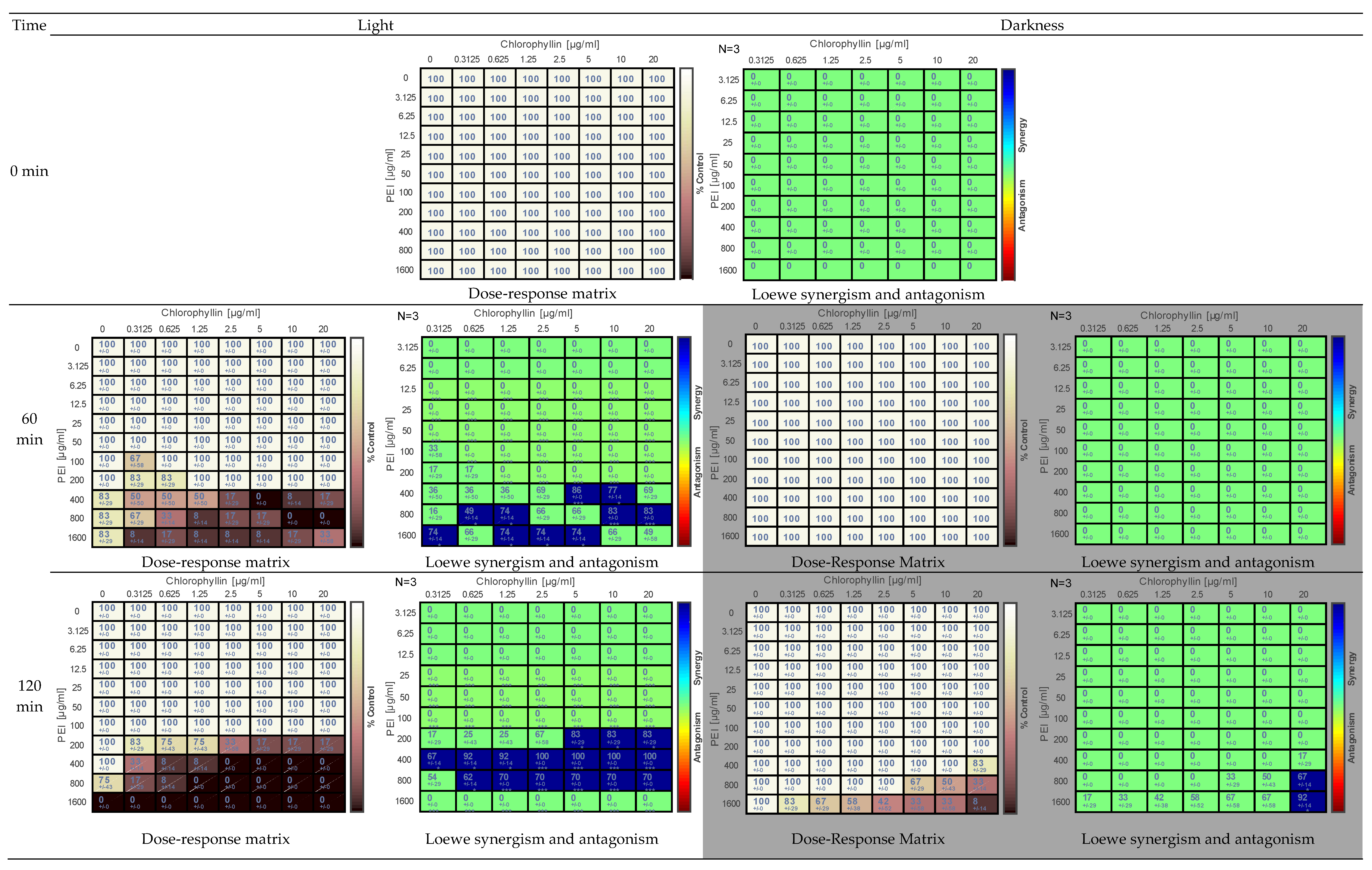 Polyethylenimine Increases Antibacterial Efficiency of Chlorophyllin