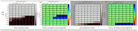 Polyethylenimine Increases Antibacterial Efficiency of Chlorophyllin