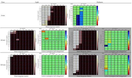 Polyethylenimine Increases Antibacterial Efficiency of Chlorophyllin