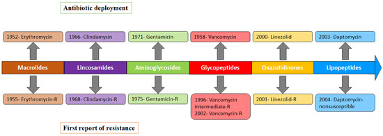 Antibiotics | Free Full-Text | Molecular Basis of Non-β-Lactam Antibiotics Resistance in ...
