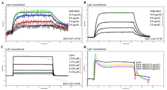 Identification of a Small Molecule That Inhibits the Interaction of LPS ...