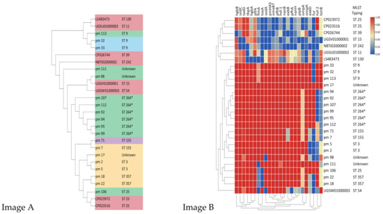 Characterization of Resistance and Virulence of Pasteurella multocida ...