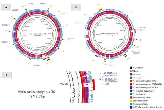 Insights into the Vibrio Genus: A One Health Perspective from Host ...