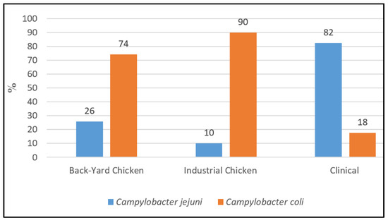 Comparison of Antimicrobial Susceptibility Profiles of Thermotolerant ...