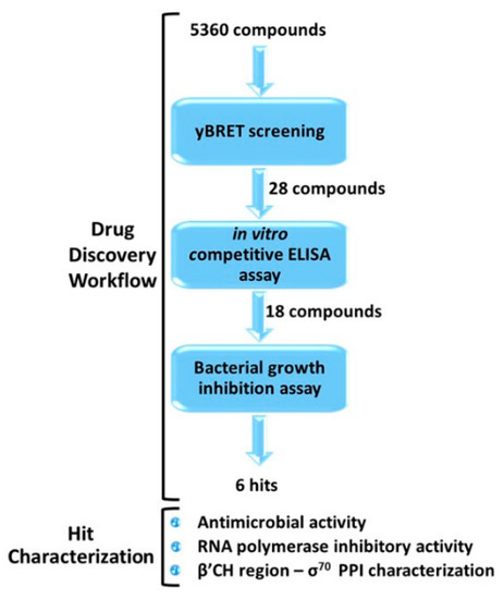 Antibiotics | Free Full-Text | An Optimized Workflow for the Discovery ...