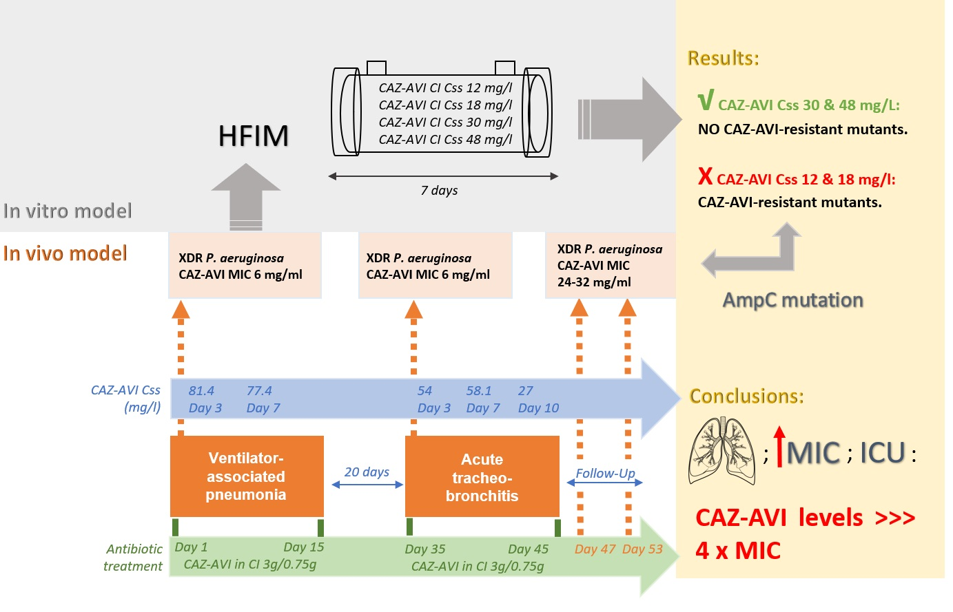 Antibiotics | Free Full-Text | Suboptimal Concentrations of Ceftazidime ...