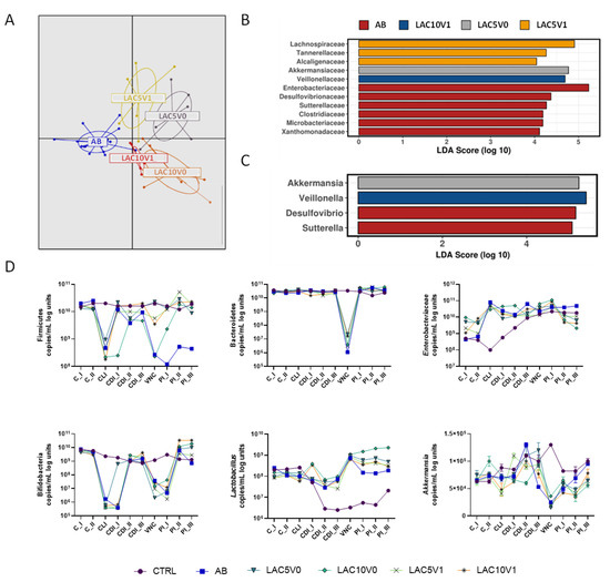 Long-Term Lactulose Administration Improves Dysbiosis Induced by ...