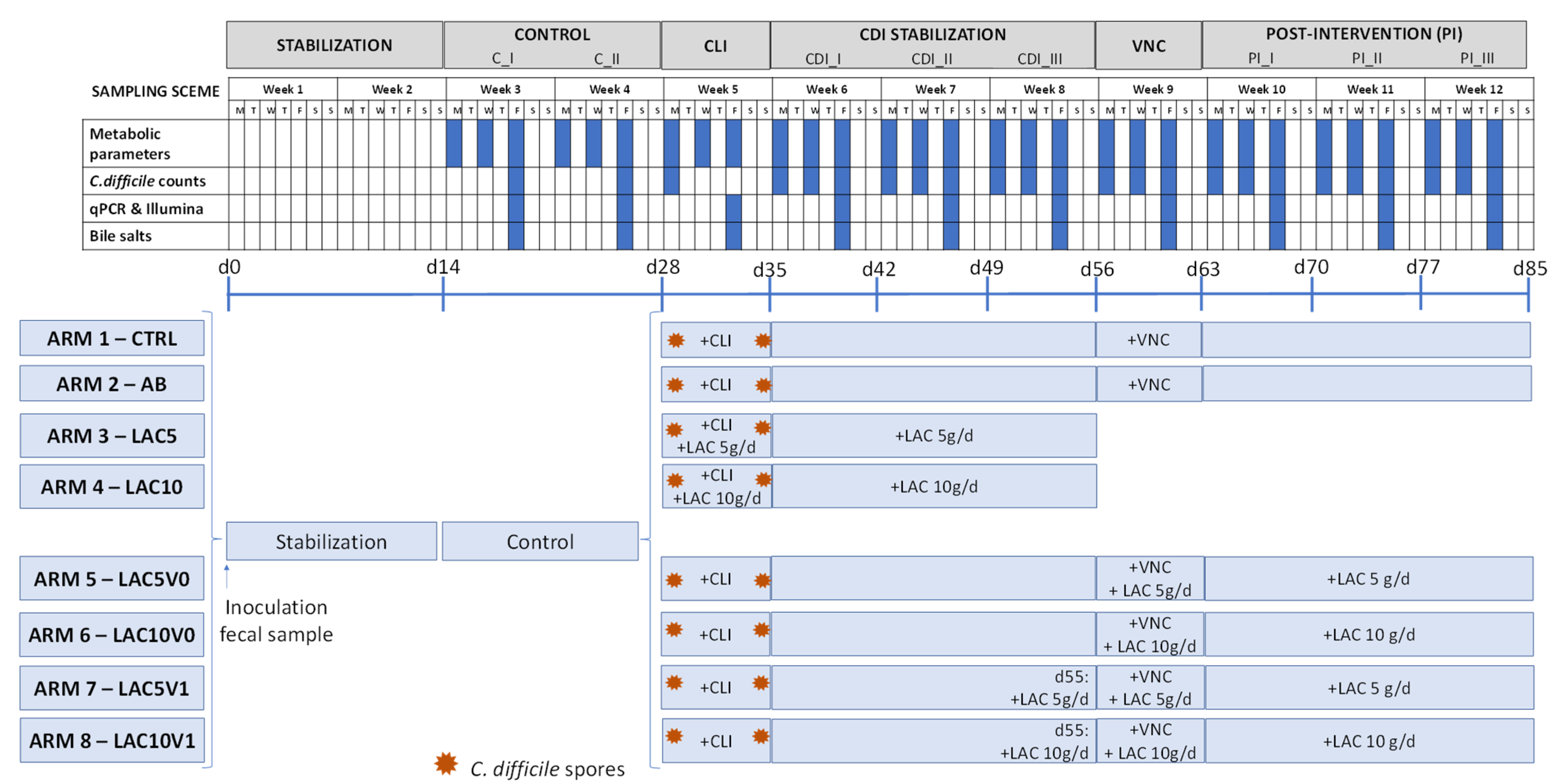 Long-Term Lactulose Administration Improves Dysbiosis Induced by ...