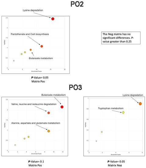 Untargeted Metabolomics Used to Describe the Chemical Composition ...