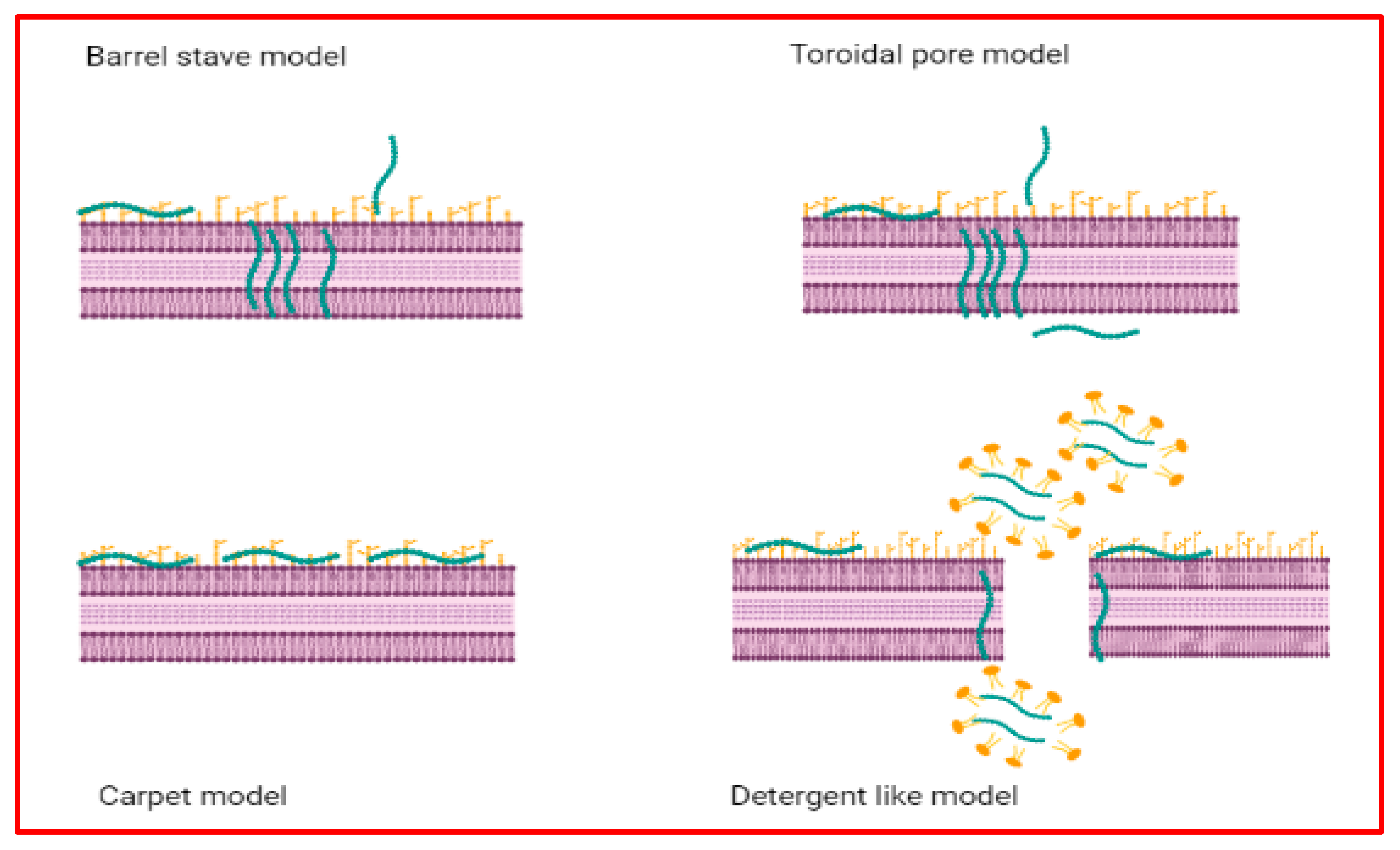 An Overview of the Potentialities of Antimicrobial Peptides Derived ...