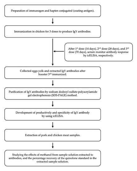 Antibiotics | Free Full-Text | Development of IgY-Based Indirect ...