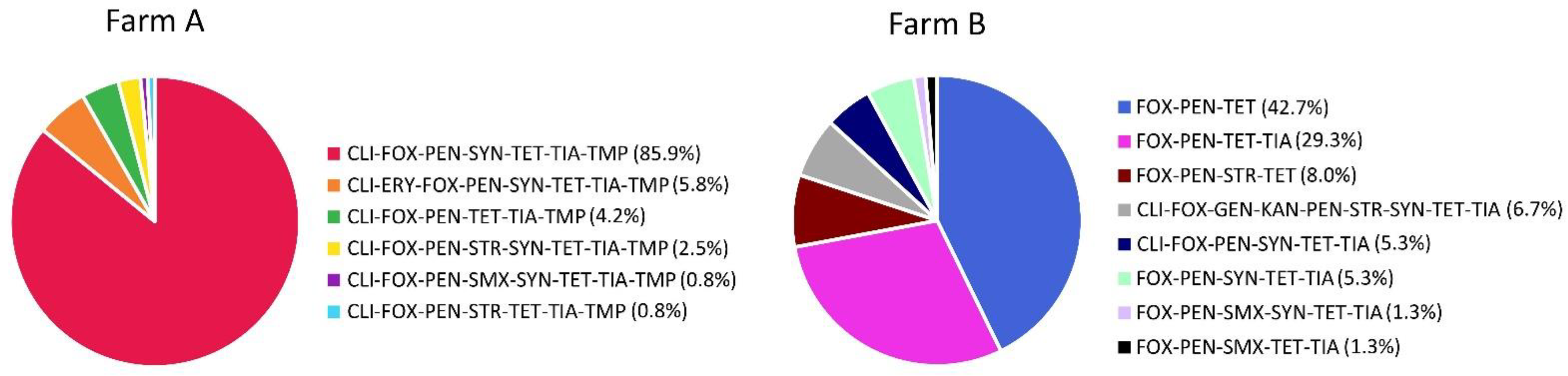 Antimicrobial Resistance and Molecular Characterization of Methicillin ...