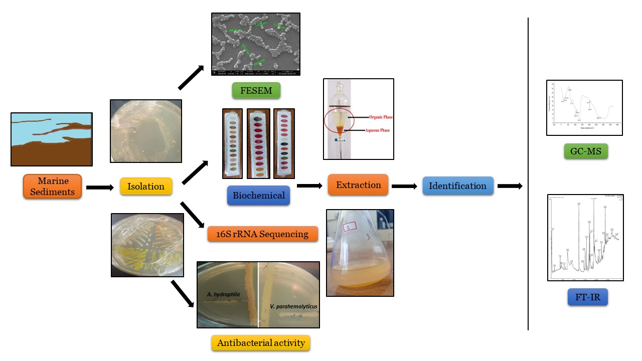 Antibiotics Free Full Text Isolation And Characterization Of A
