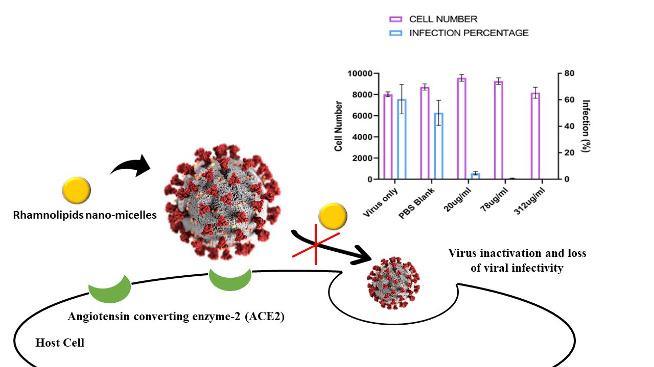 Antibiotics | Free Full-Text | Rhamnolipid Nano-Micelles Inhibit SARS ...